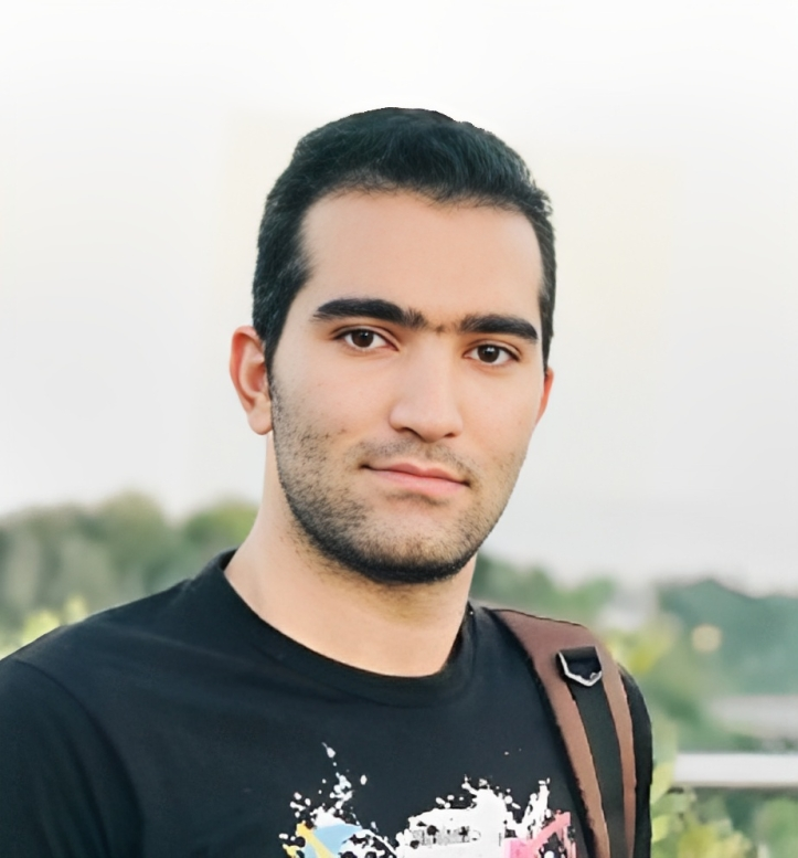 Nanomaterials and Polymer Nanocomposites Laboratory