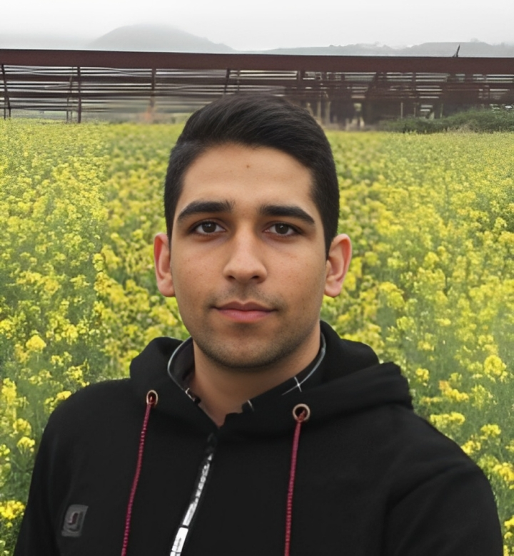 Nanomaterials and Polymer Nanocomposites Laboratory