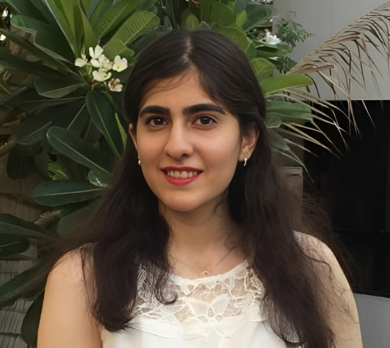 Nanomaterials and Polymer Nanocomposites Laboratory